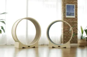 Are Cat Wheels Worth It? Complete Cat Wheel Guide – monsieurtn